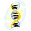 DNA, RNA and Genomic Analysis - Resource Hub